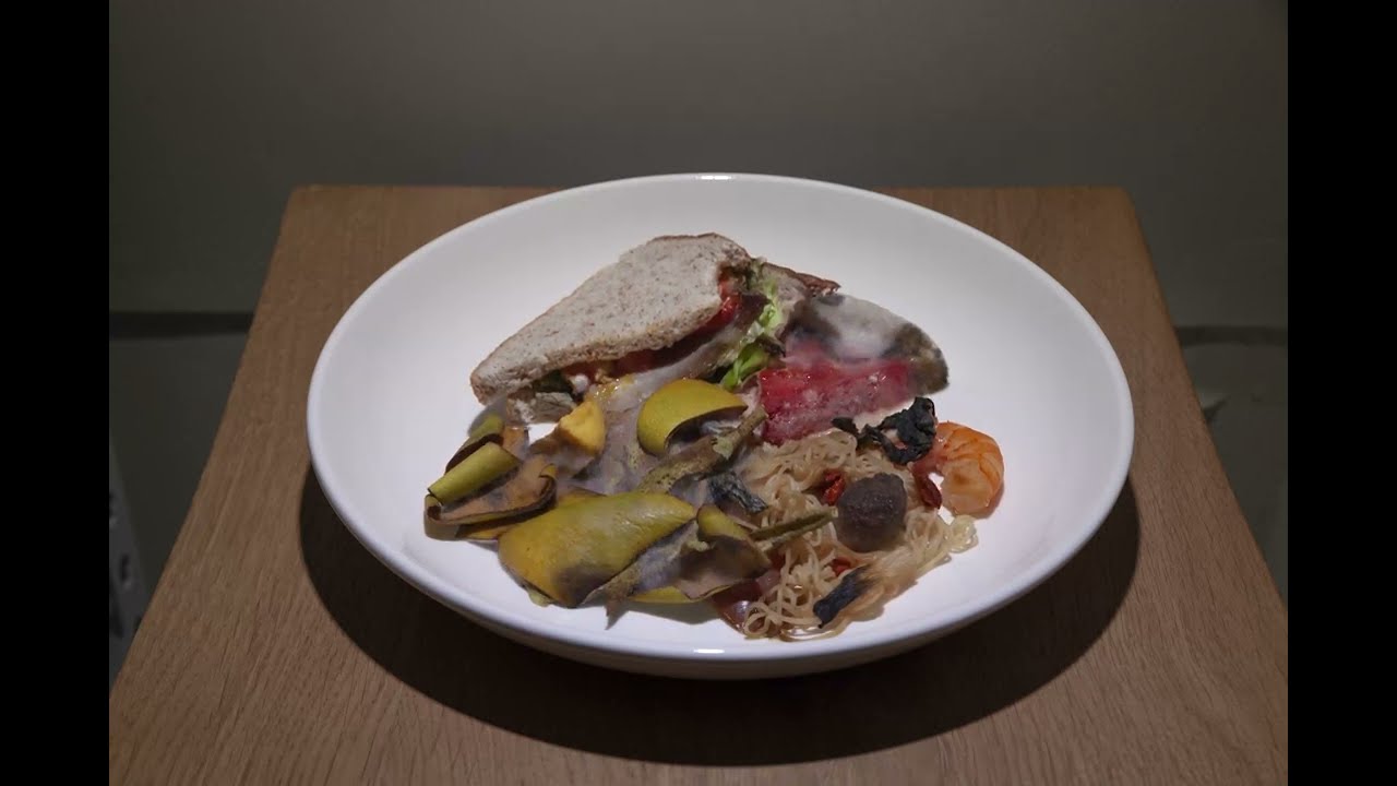 Food Waste Rotting (Time Lapse)