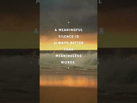 "A MEANINGFUL SILENCE IS ALWAYS BETTER THAN MEANINGLESS WORDS"#successmindset
