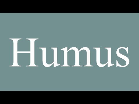 How to Pronounce ''Humus'' Correctly in French