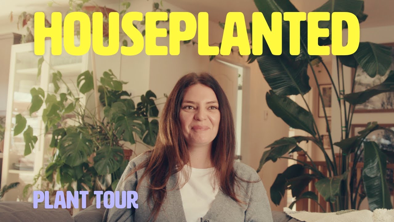 Inside a suburban Quebec home teeming with lush plants of every size | Houseplanted