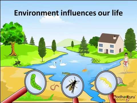 Science - What are Biotic and Abiotic Components of the Environment - Hindi
