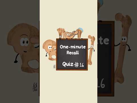 Recall card 16 | Types of Bones | Anatomy