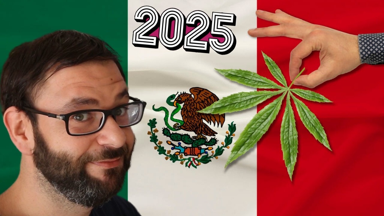 Cannabis is 100% Legal in Mexico 🇲🇽 What You Need to Know About Marijuana in Mexico | Weed in Mexico
