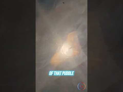 Learn Spray Arc