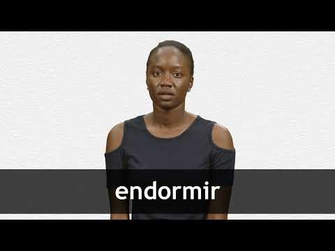 English Translation of “ENDORMIR” | Collins French-English Dictionary