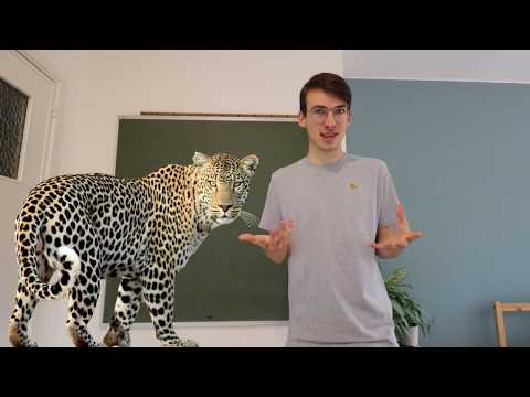 SPELLING - toekanwoorden (gekke samenstellingen)