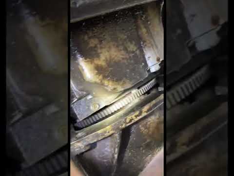 This is why you put loctite on torque converter bolts!