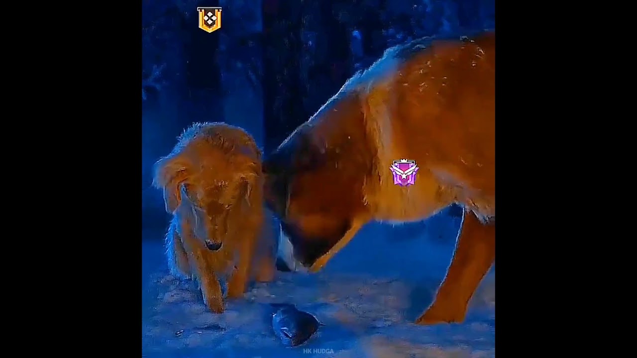 PRESET ALIGHT%F0%9F%91%BF%F0%9F%92%A5 MOTION FF%F0%9F%92%A5%F0%9F%8E%B6 %F0%9F%A4%A1 PANDA %F0%9F%