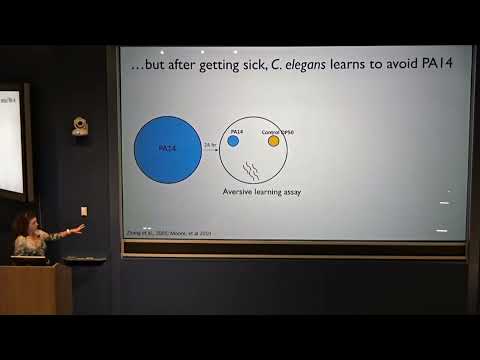 Coleen Murphy - Transgenerational Inheritance of Pathogen Avoidance (May 11, 2022)