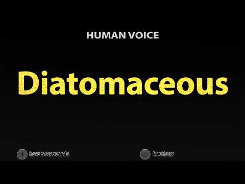 How to Pronounce Diatomaceous
