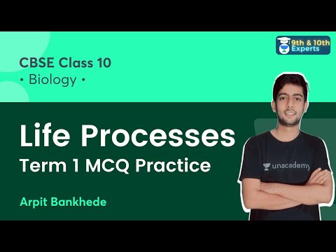 Class 10: Life processes | Term 1 MCQ Practice | Biology | Arpit Bankhede