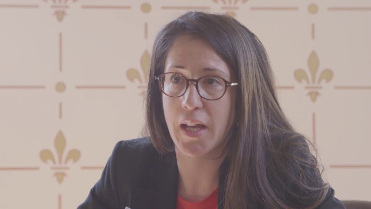 GapSummit 2016 - Interview with Dr Silvia Camporesi