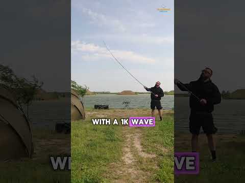 “Vedeta” momentului din portofoliul Harrison • Aviator Plus 2 13ft 3 436