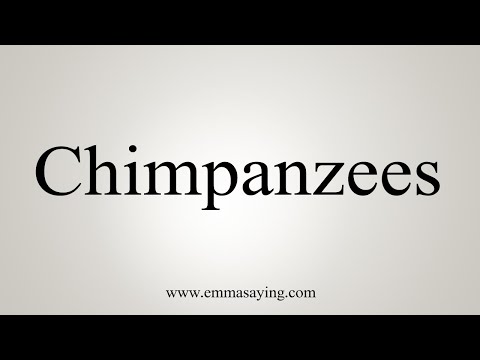 How To Say Chimpanzees