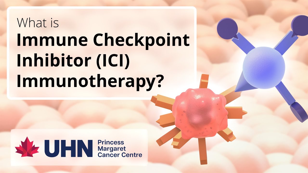 Introduction to Immune Checkpoint Inhibitor (ICI) Immunotherapy