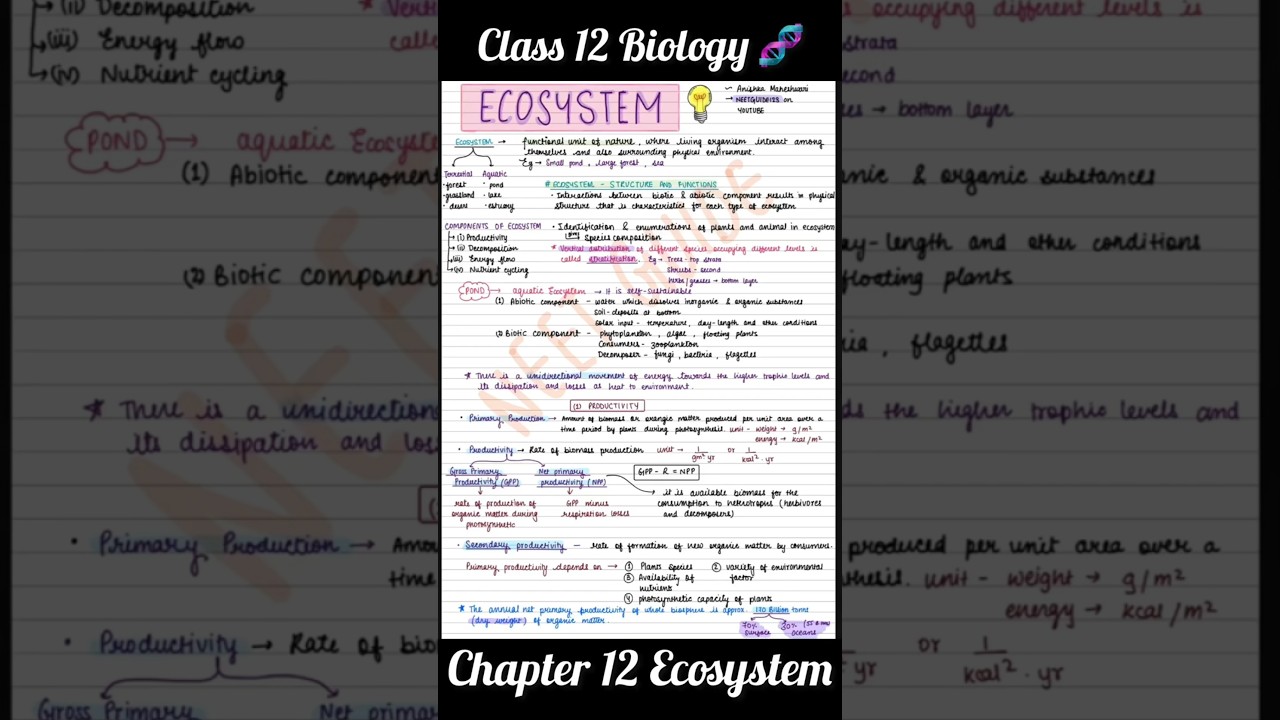 Class12 Ecosystem notes one shot / Revision /Biology Ncert chapter 12 neet boards  #neet #boardexam