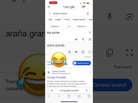 Big spider in Spanish๐๐ท๏ธ๐ค