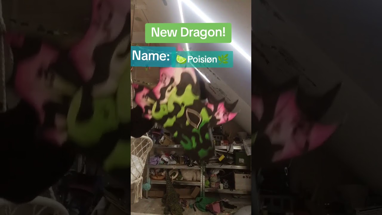 Do you like him? #paperdragonpuppets #paperdragon #paperdragonpuppeter