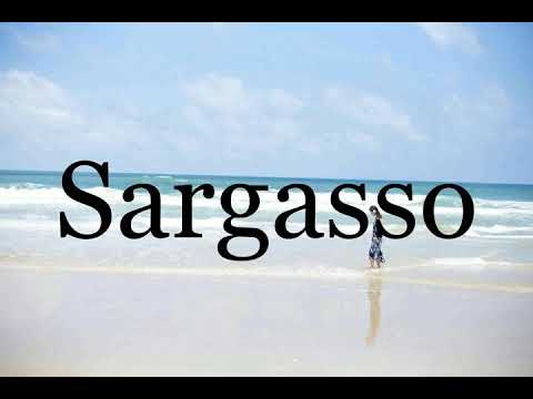 How To Pronounce Sargasso🌈🌈🌈🌈🌈🌈Pronunciation Of Sargasso