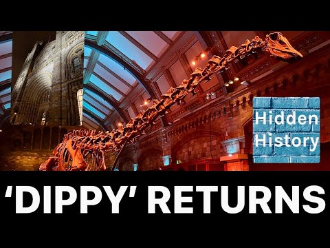 New video: The history and wonder of ‘Dippy’ the diplodocus at the ...