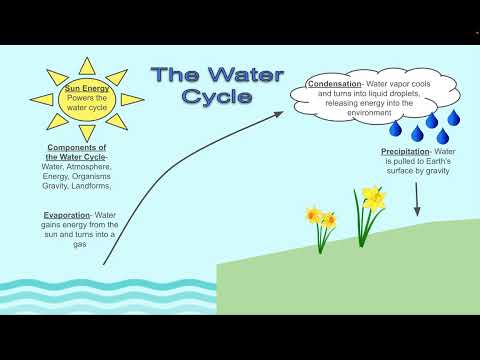 5 Minute Science: The Water Cycle- Understanding MS-ESS2-4