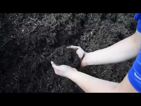 Bulk Dark Hardwood Mulch for Sale NJ & NY | Best Prices & Fast Delivery