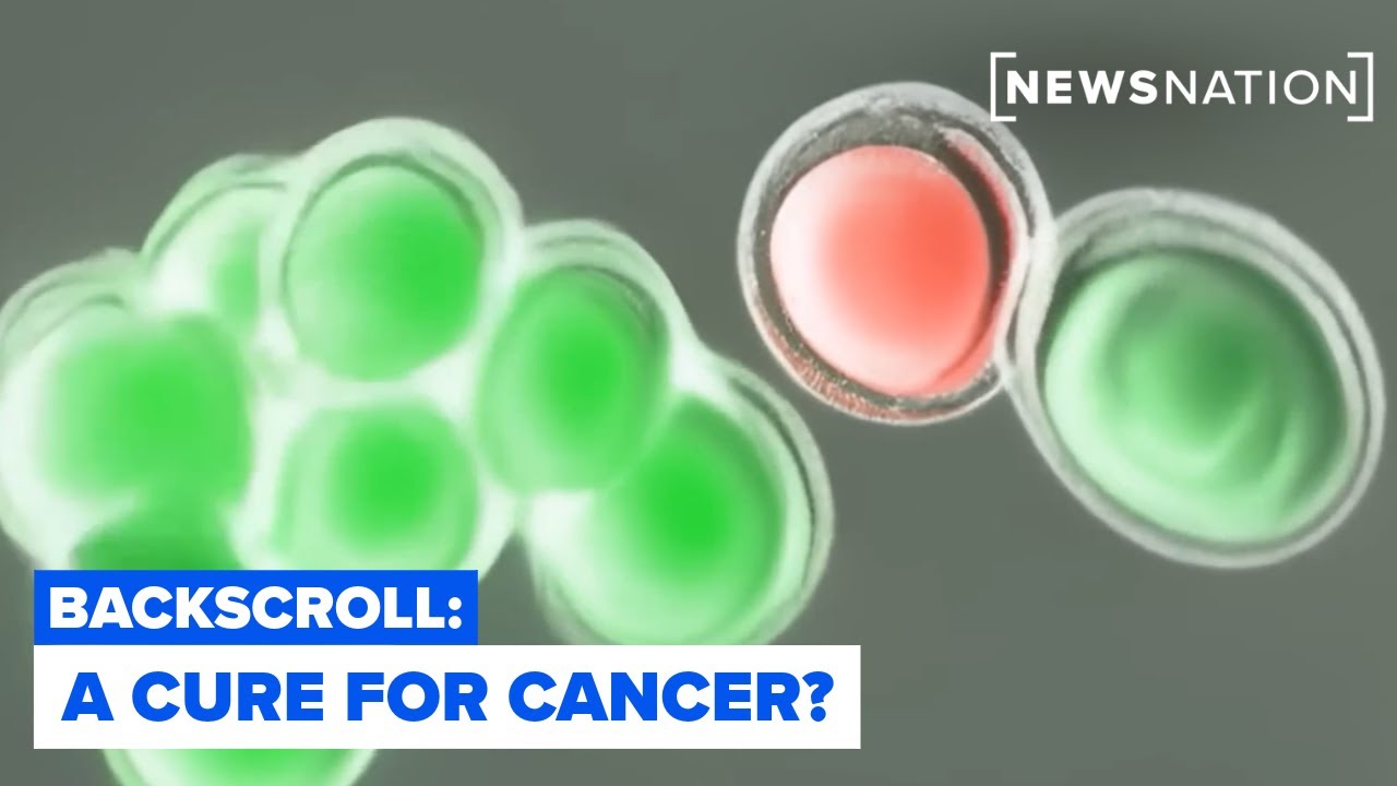 A cure for cancer? Exploring Anktiva, emerging therapies | Backscroll