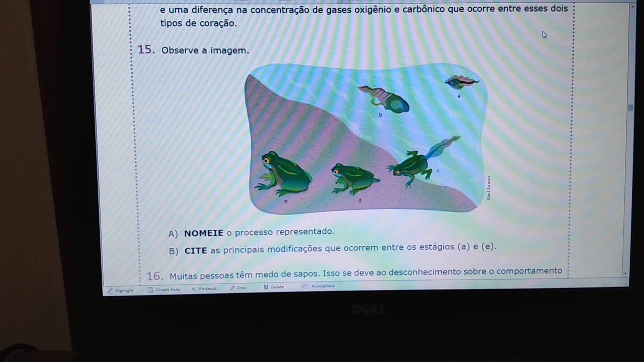 Correção comentada exercícios sobre Anfíbios.