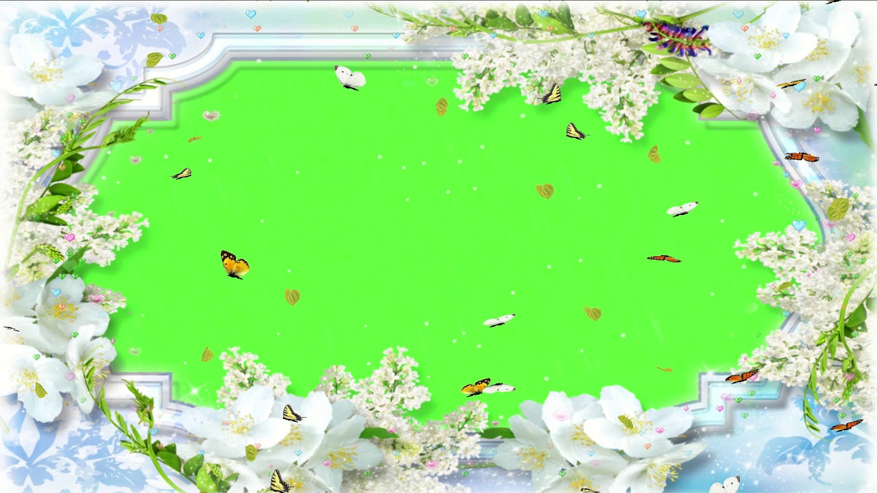 flower frame video green screen mode 5