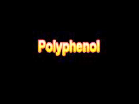 What Is The Definition Of Polyphenol Medical School Terminology Dictionary