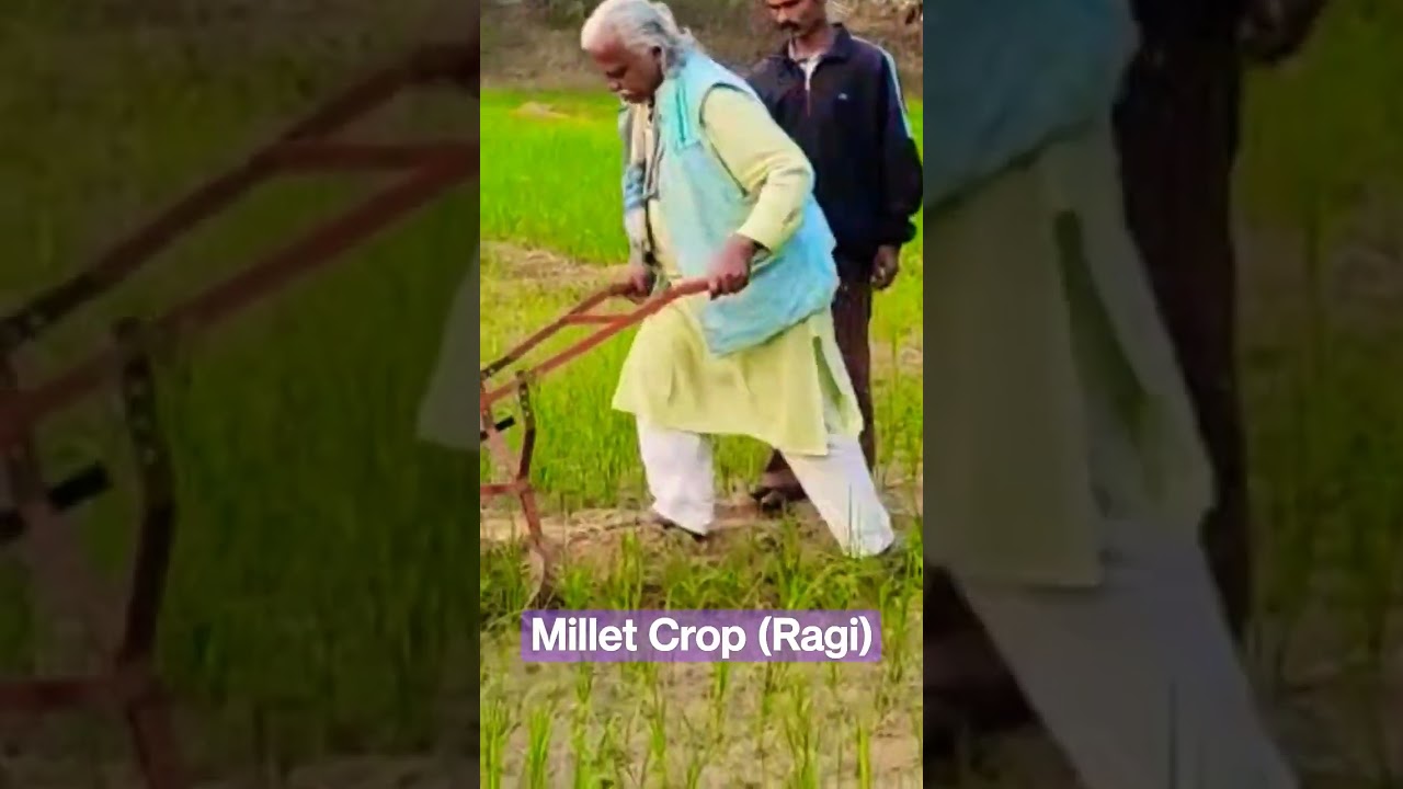 Increasing Millet Production Program