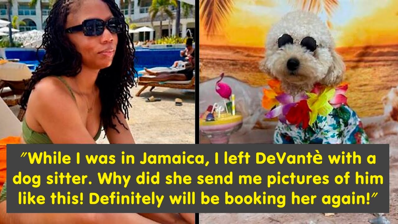 Hilarious Tweets That Won The Internet This Month (August Edition) | Humor Sweet