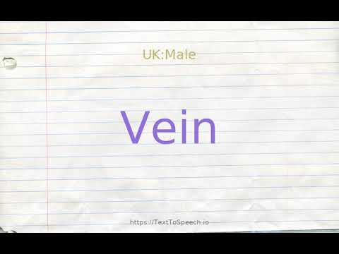 How to pronounce vein