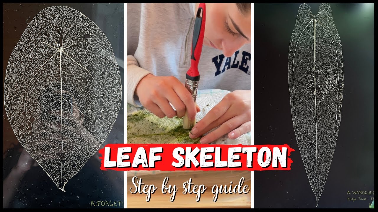 LEAF SKELETON // How to make them