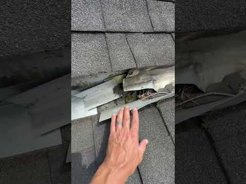 Shady gutter contractor