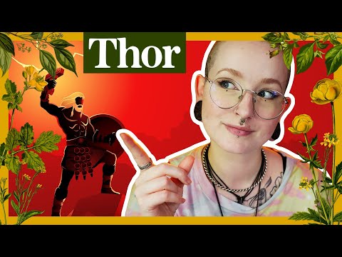 The Norse Gods: Thor || Who is the Norse god Thor and what is working with him like?