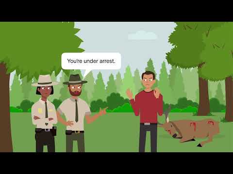 Indian Law Lesson | Special Provisions Concerning Indians | Lesson 6 of 23