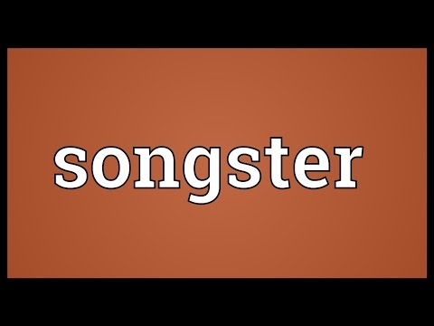 Songster Meaning