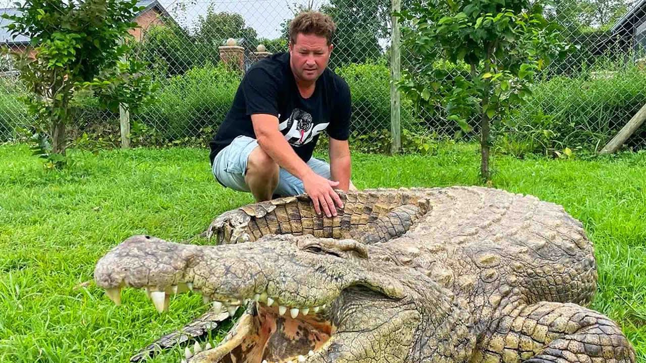 YouTuber Dingo Dinkelman Dies of Snake Bite