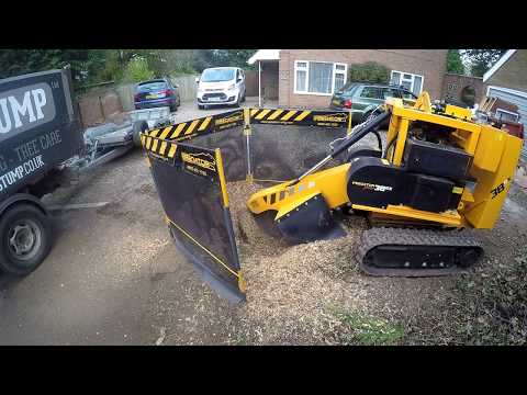 DR STUMP LTD Stump Grinding a Leylandii Stump with the Predator 38RX remote controlled stump grinder