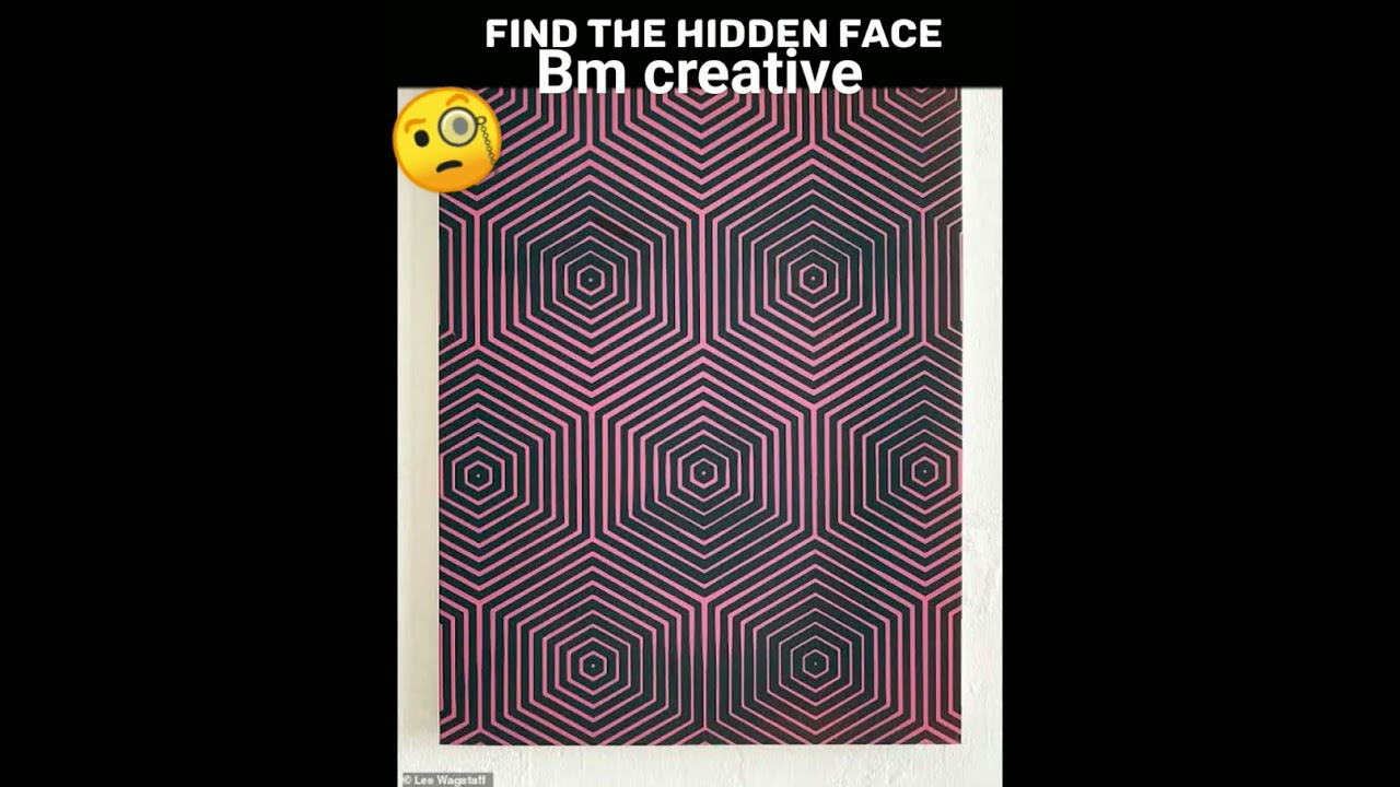 Find the hidden face ##shorts #illusion #amazing #trending #viral###