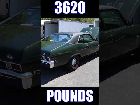 1969 Nova feasts on 1971 GTO | STOCK DRAG RACE | CARS AND ZEBRAS #shorts