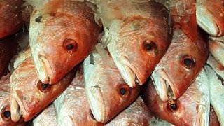 13 Totally Horrifying Facts About Seafood