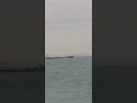 masih bertahan di island dongyin... dgn suhu 10°c...ada 8kpl disini...