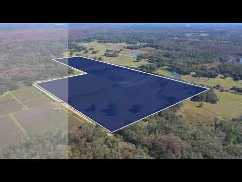 Citrus County Blueberry Farm and Acreage - 53.43 ± AC farm FOR SALE in Inverness, FL