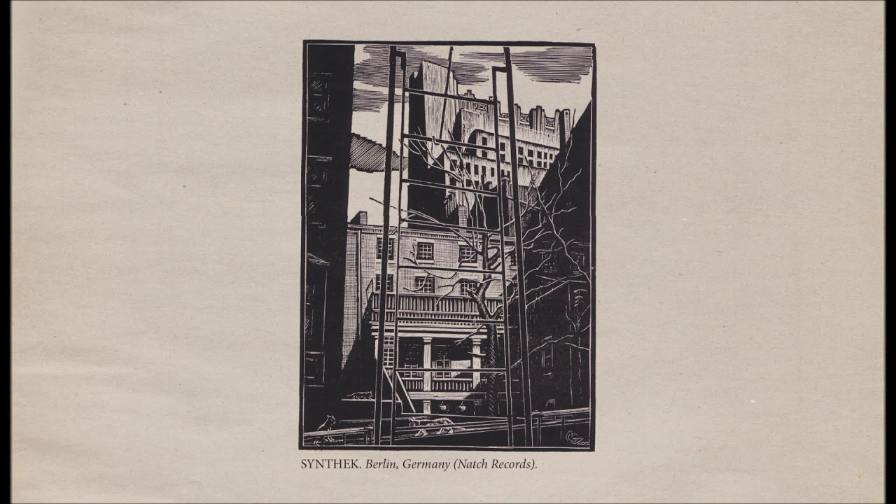 The Memoir - Page 10: Synthek