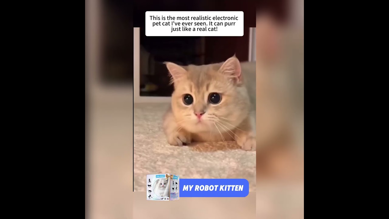 The best technical companion of 2025 – My real robot cat