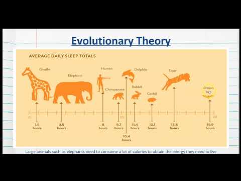 Sleep Theories - Psychological Health and Wellbeing