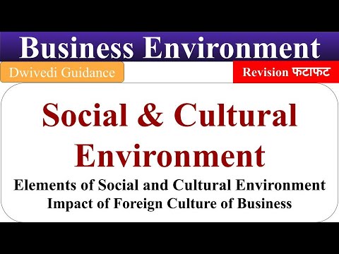 social and cultural environment, elements of social and cultural environment, business environment