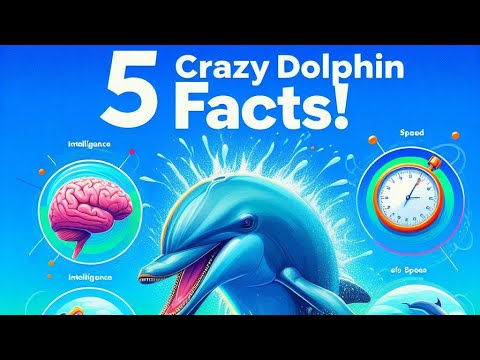 5 Crazy Facts About Dolphins That Will Blow Your Mind! #shorts #dolphin #dolphins #facts